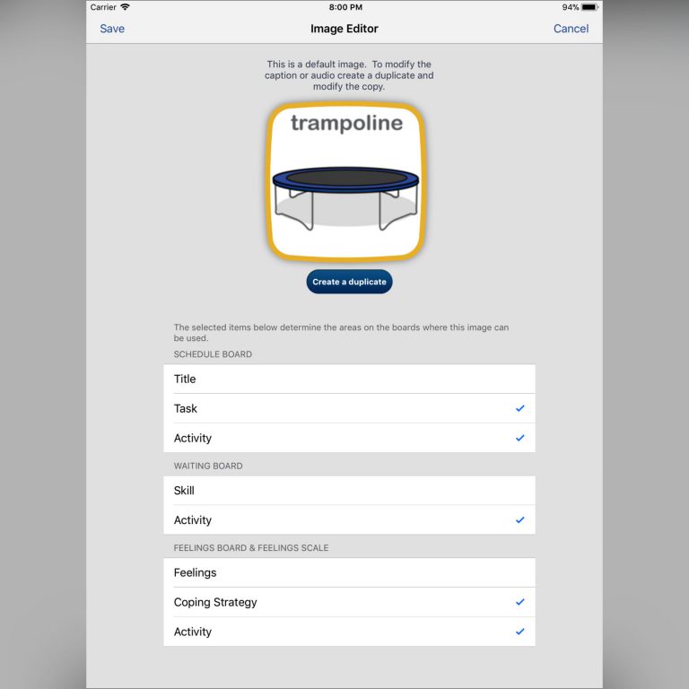 Choiceworks App for iPad - Assistive Technology