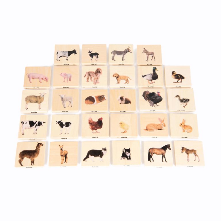 Domestic Animal Family Match - Assistive Technology