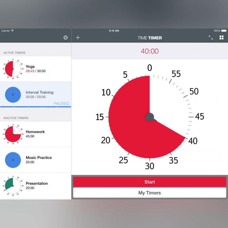 Time Timer for iPad - Assistive Technology
