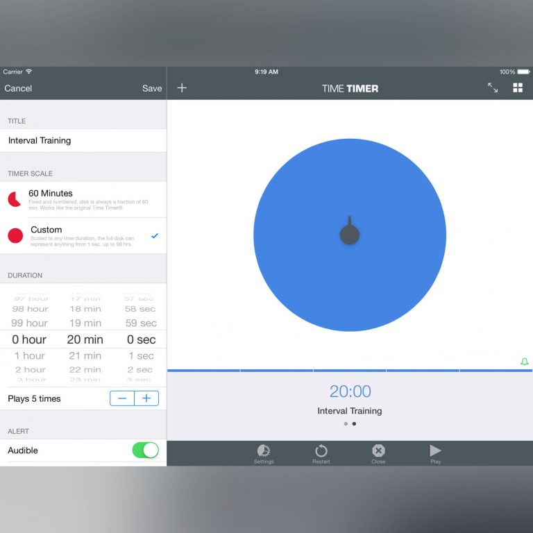 Time Timer for iPad - Assistive Technology
